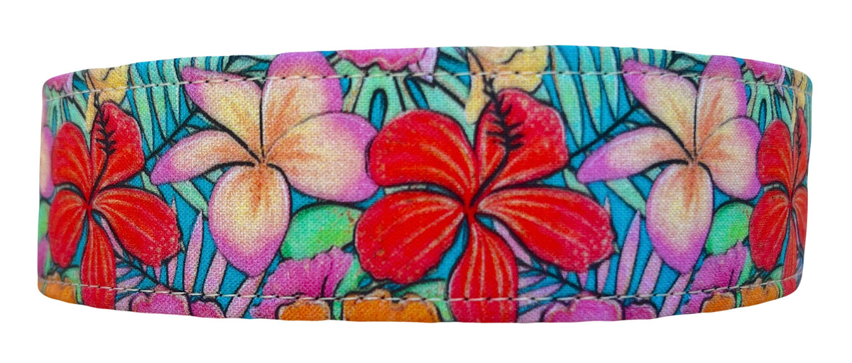 Island Blooms – Sirius Republic